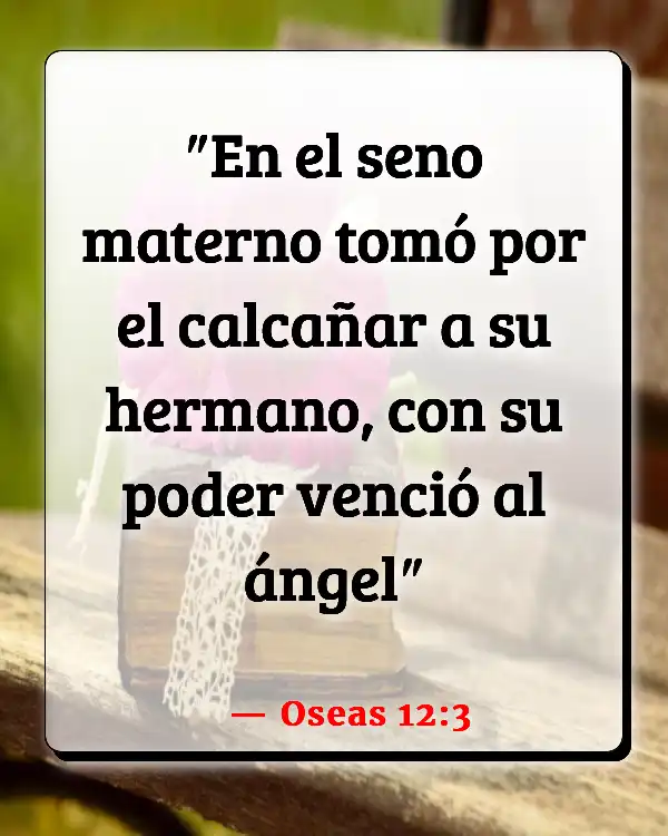 79 Versículos De La Biblia Matriz