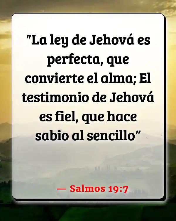 80 Vers culos De La Biblia La Sabidur a De Dios 80 Vers culos De La Biblia La Sabidur a De Dios