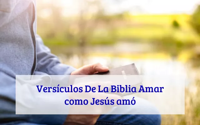 88 Versículos De La Biblia Amar como Jesús amó