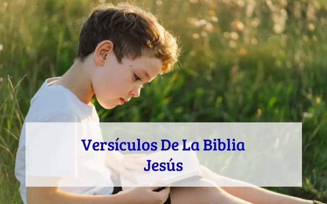 80 Versículos De La Biblia Jesús